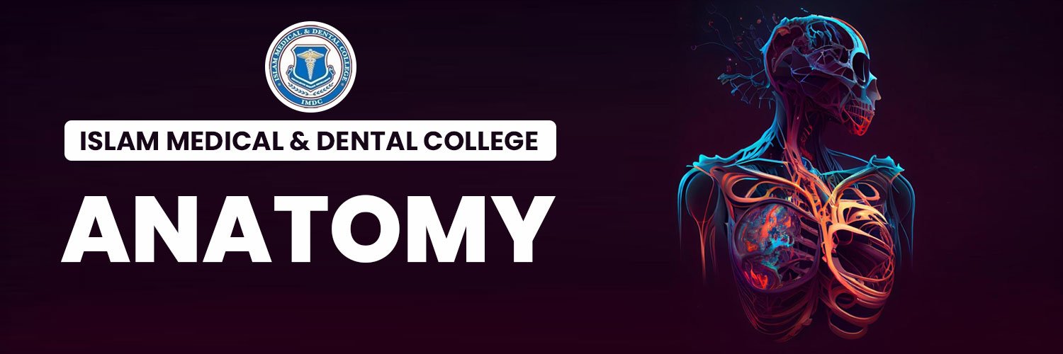 Anatomy – Islam Medical College